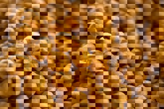 NHS Royal Devon | Tree nut challenge